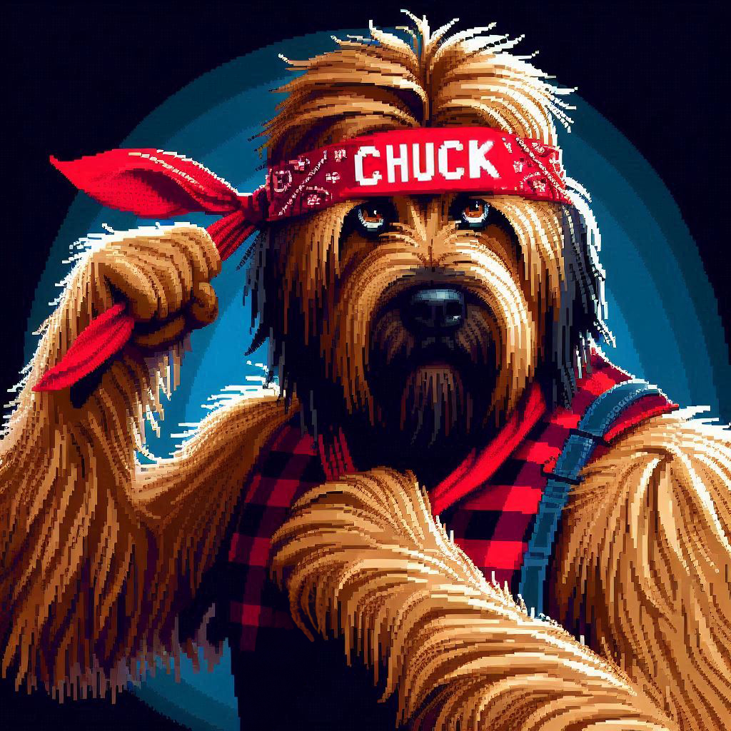 Chuck on Base | The Roundhouse Crypto Canine